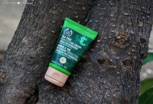 The Body Shop Tea Tree BB Cream 02 Review & Swatches - Heart Bows & Makeup